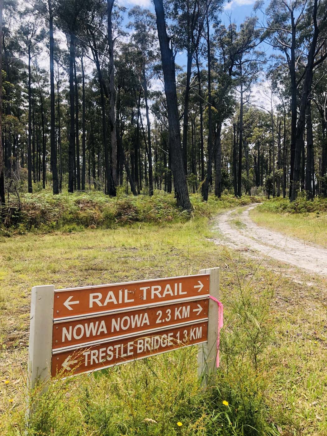 Noojee Trestle Bridge Rail Trail Walk (3km) - Gippsland, VIC
